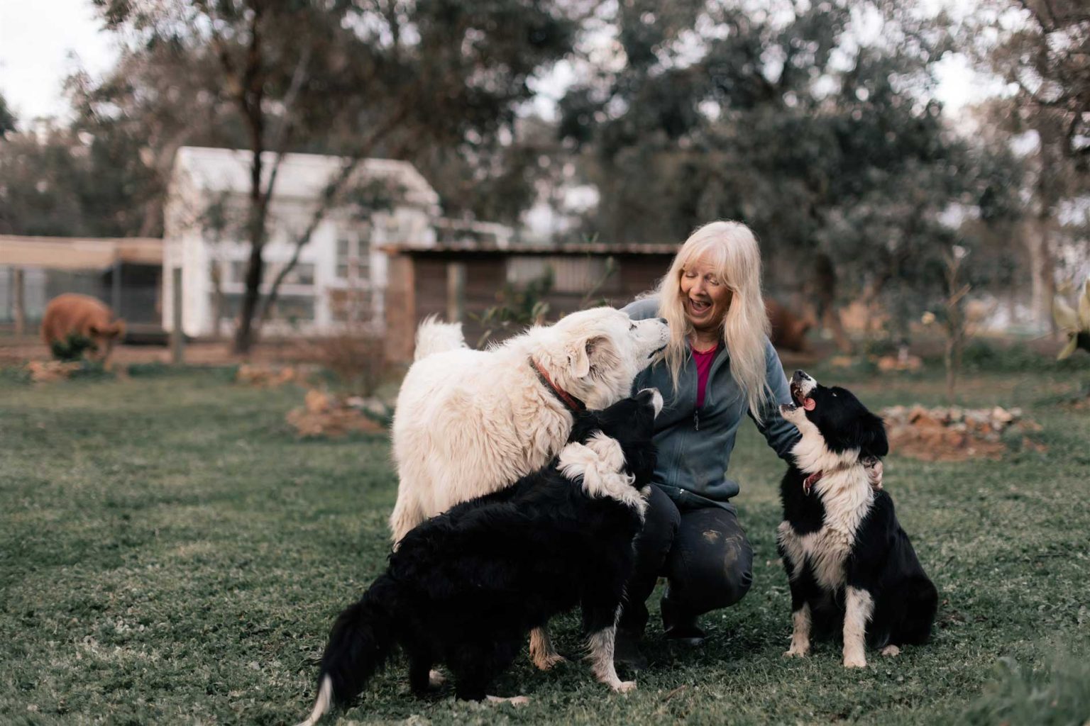 About Tirano Rare Breeds Farm | Our Story of Passion and Purpose